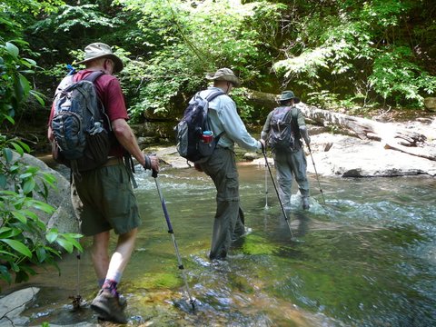P1370141 | Pisgah Hikers